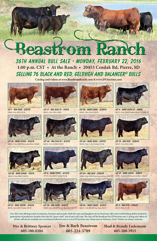 Past Sales - Beastrom Gelbvieh Ranch
